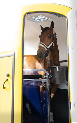 Humbaur | Premium-Pferdeanhänger PEGASUS STYLE